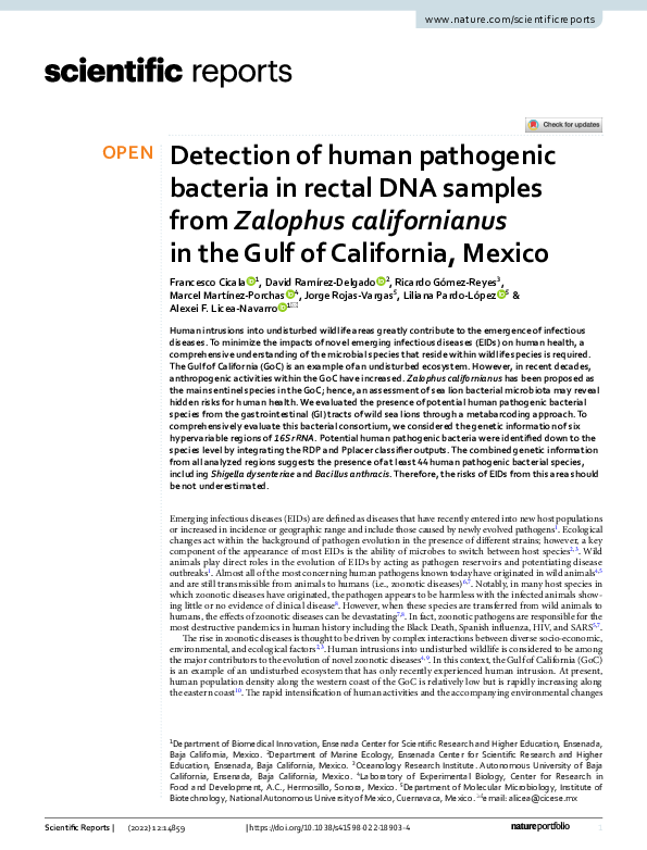 (PDF) Detection of human pathogenic bacteria in rectal DNA samples from ...