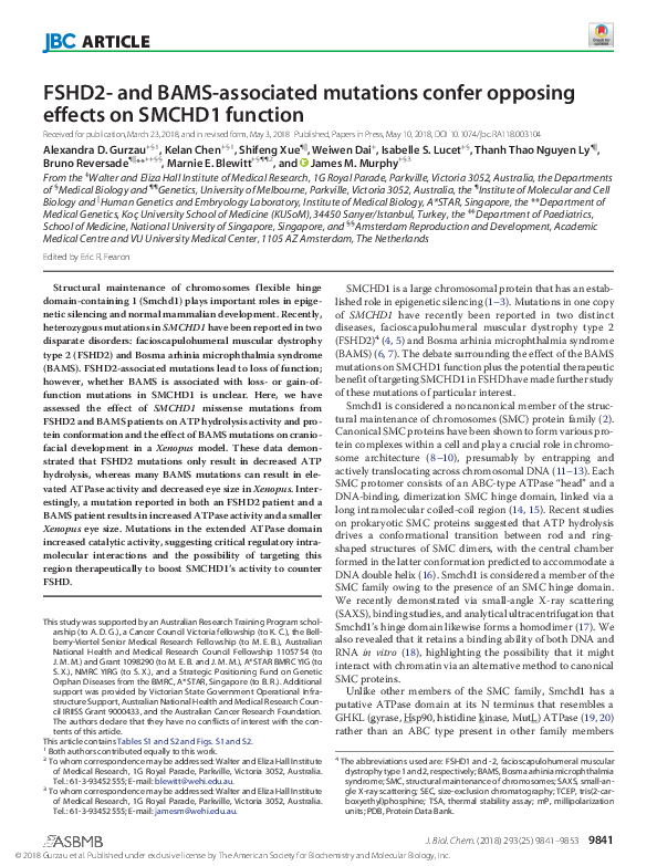 (PDF) FSHD2- and BAMS-associated mutations confer opposing effects on ...