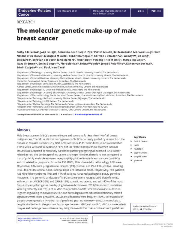 (PDF) The molecular genetic make-up of male breast cancer