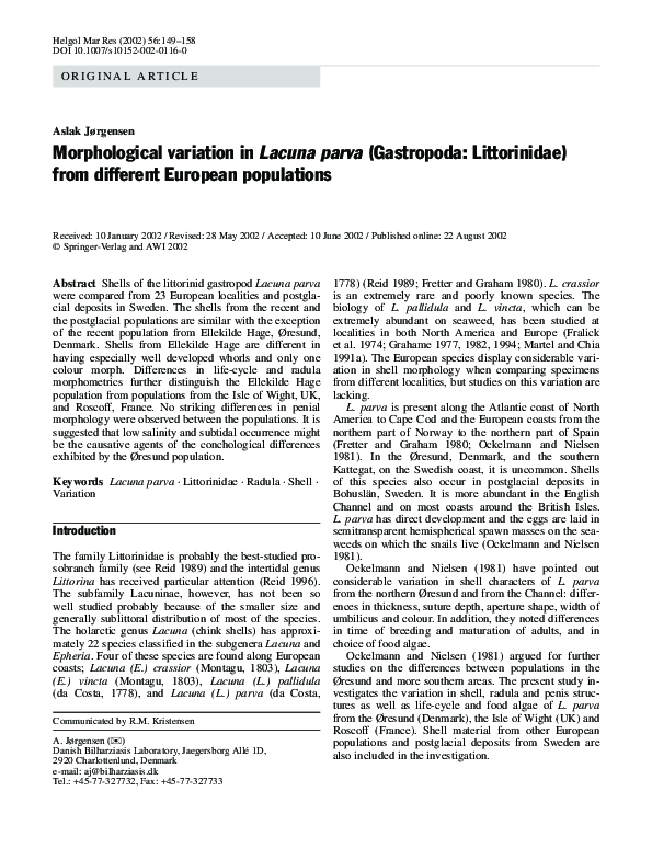 (PDF) Morphological variation in Lacuna parva (Gastropoda: Littorinidae ...