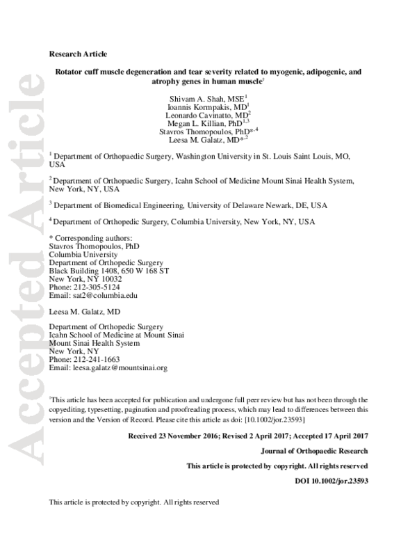 (PDF) Rotator cuff muscle degeneration and tear severity related to ...