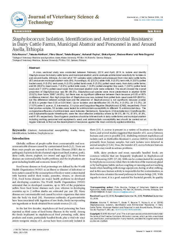 Pdf Staphylococcus Isolation Identification And Antimicrobial Resistance In Dairy Cattle