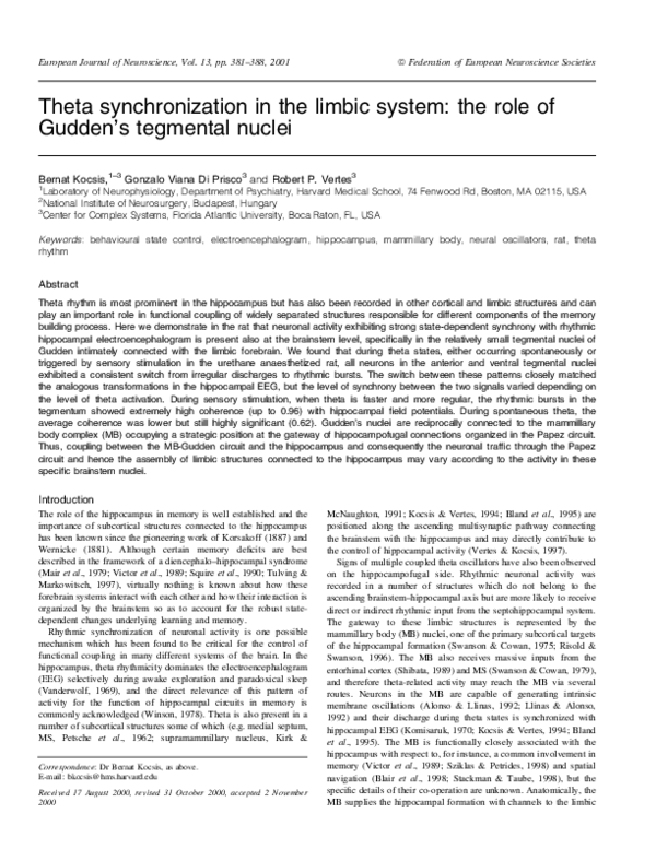 (PDF) Theta synchronization in the limbic system: the role of Gudden's ...