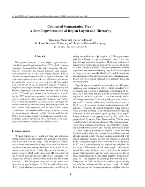(PDF) Connected Segmentation Tree — A joint representation of region layout and hierarchy