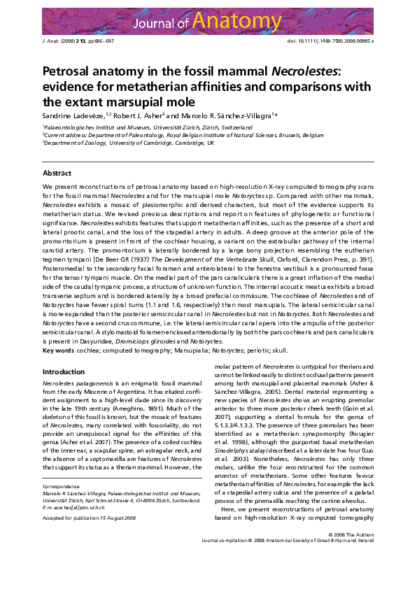 (PDF) Petrosal anatomy in the fossil mammal Necrolestes: evidence for ...