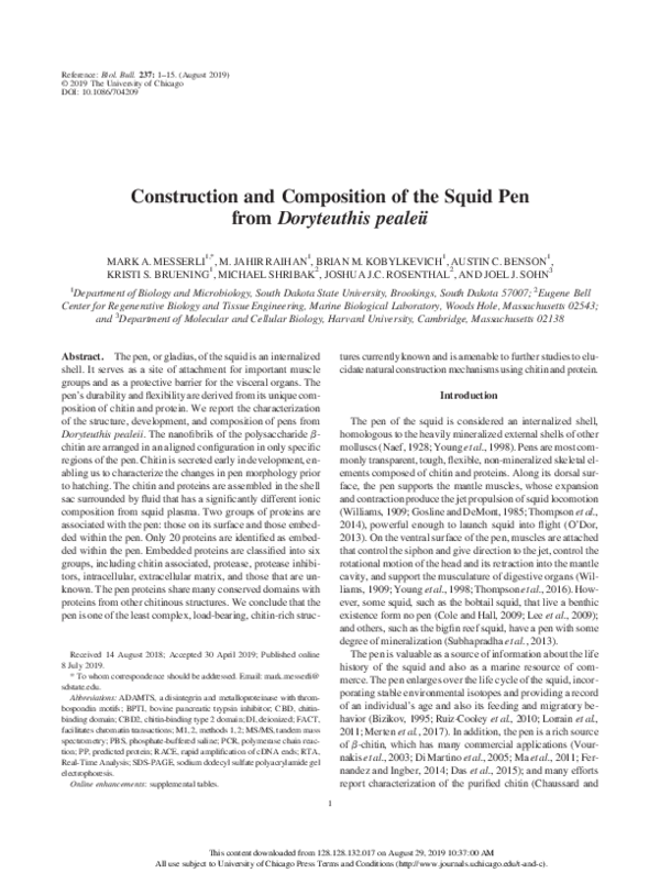 (PDF) Construction and Composition of the Squid Pen fromDoryteuthis pealeii