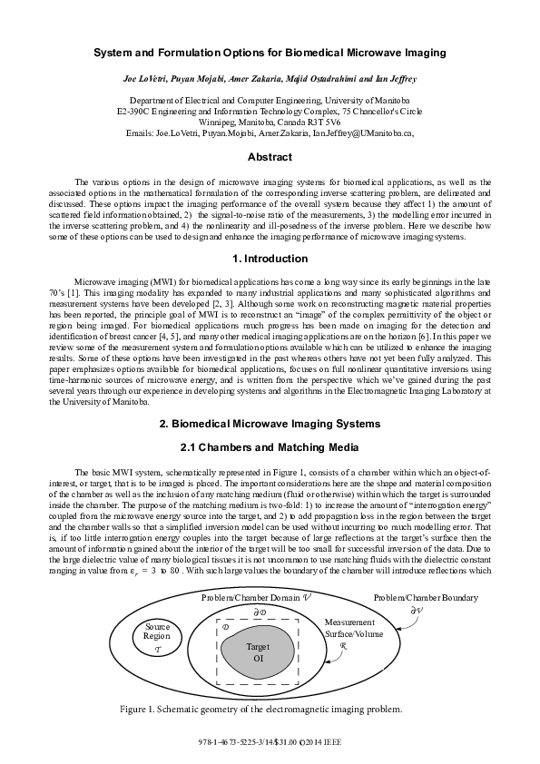 (PDF) System and formulation options for biomedical microwave imaging