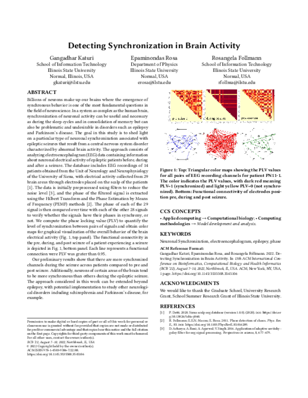 (PDF) Detecting synchronization in brain activity