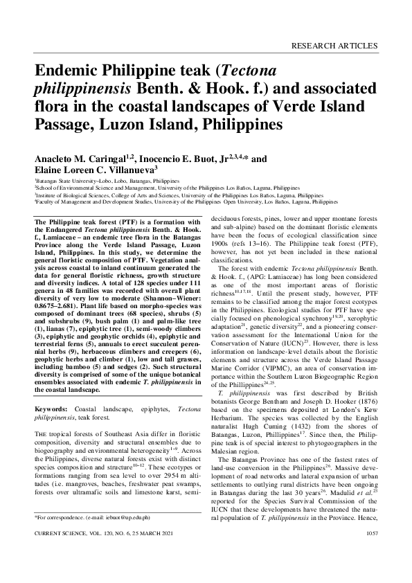 (PDF) Endemic Philippine Teak (Tectona philippinensis Benth. & Hook. F ...