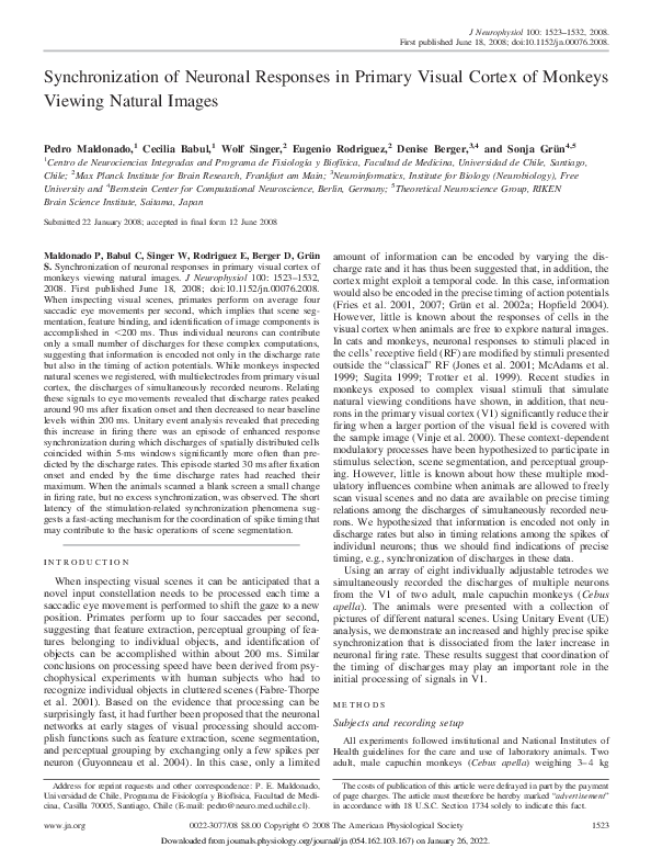 (PDF) Synchronization of Neuronal Responses in Primary Visual Cortex of ...