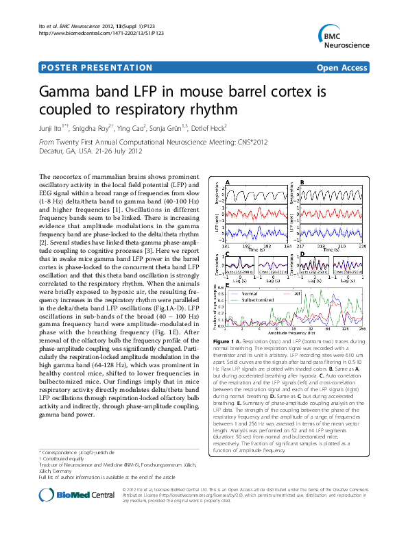 (PDF) Gamma band LFP in mouse barrel cortex is coupled to respiratory ...