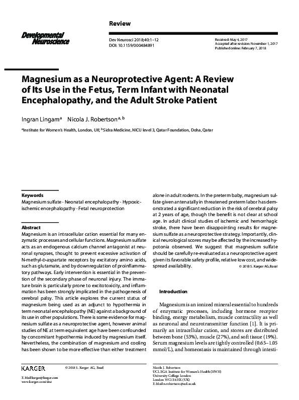 (PDF) Magnesium's Neuroprotective Role Across Ages