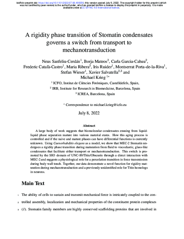 (PDF) A rigidity phase transition of Stomatin condensates governs a ...