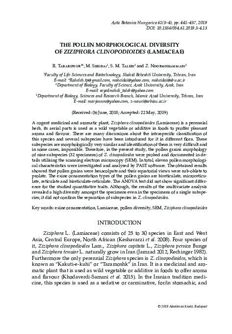 (PDF) The pollen morphological diversity of Ziziphora clinopodioides ...