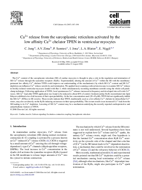 (PDF) Ca2+ release from the sarcoplasmic reticulum activated by the low ...
