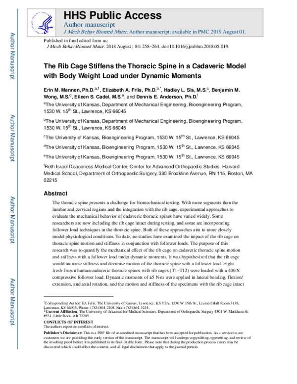 (PDF) The rib cage stiffens the thoracic spine in a cadaveric model ...