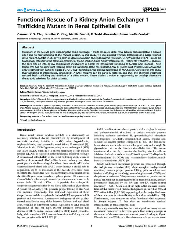 (PDF) Functional Rescue of a Kidney Anion Exchanger 1 Trafficking ...