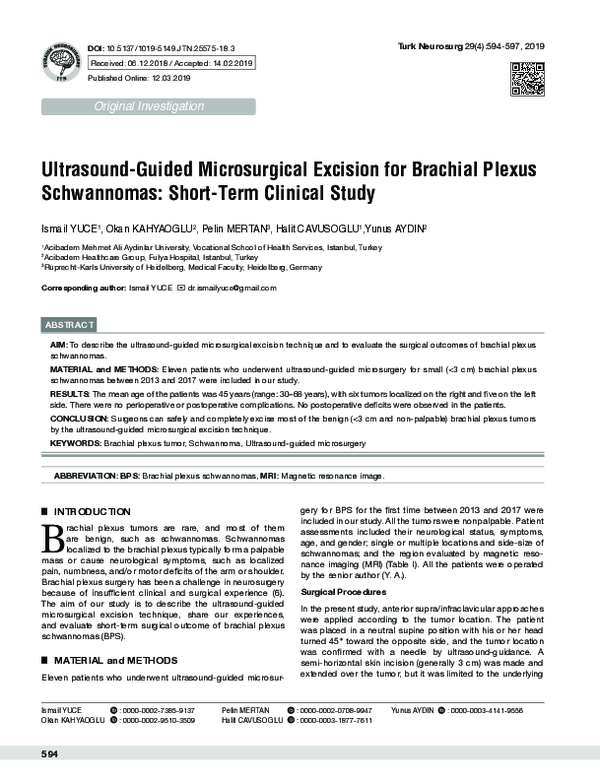 (PDF) Ultrasound-guided microsurgical excision for brachial plexus ...