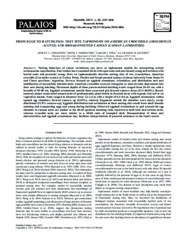 (PDF) From Eggs to Hatchlings: Nest Site Taphonomy of American ...