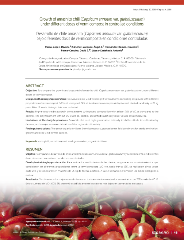 (PDF) Desarrollo de chile amashito (Capsicum annuum var. glabriusculum ...