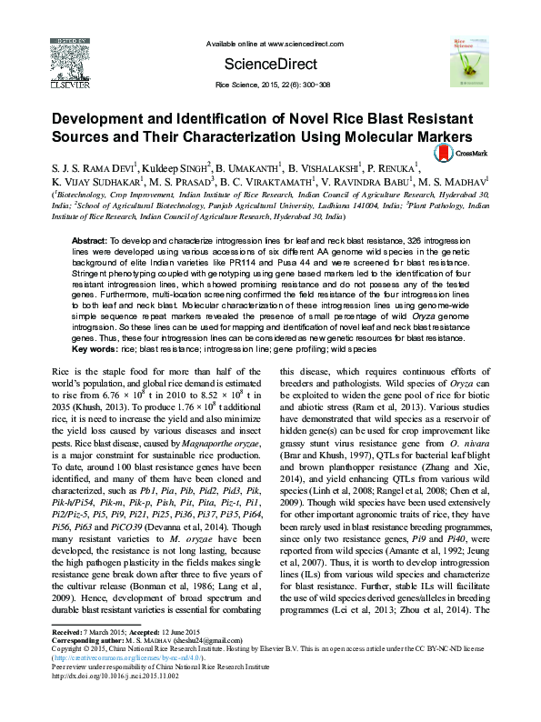 (PDF) Development and Identification of Novel Rice Blast Resistant ...