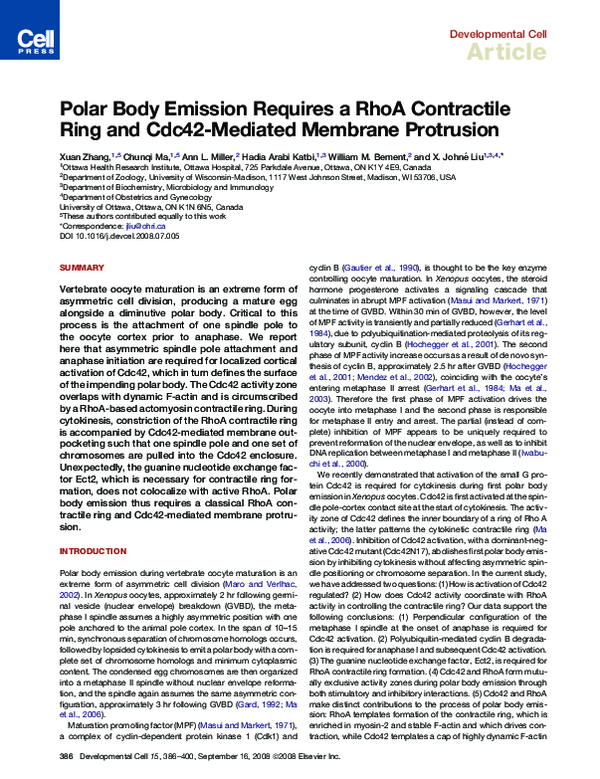 (PDF) Polar Body Emission Requires a RhoA Contractile Ring and Cdc42 ...