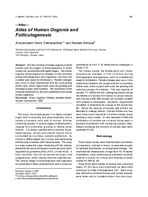 (PDF) Atlas of Human Oogonia and Folliculogenesis