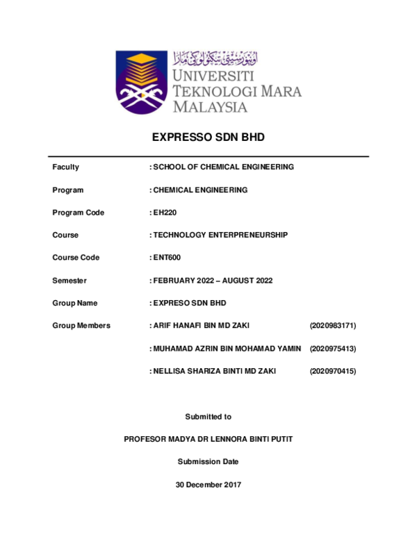 (PDF) ENT600 Technology Entrepreneurship - Assignment 3 (New Product ...