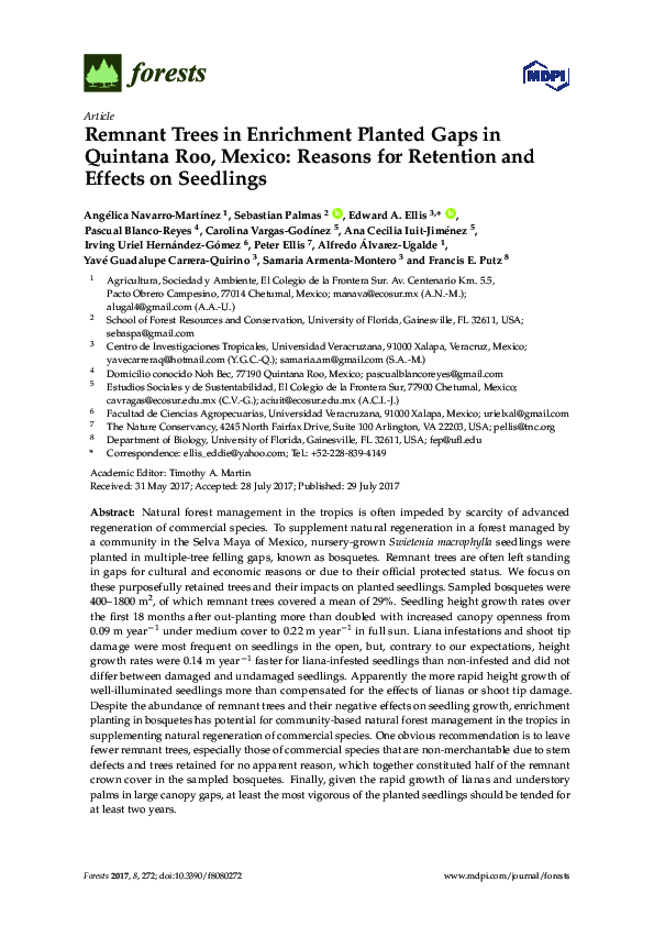 (PDF) Remnant Trees in Enrichment Planted Gaps in Quintana Roo, Mexico ...