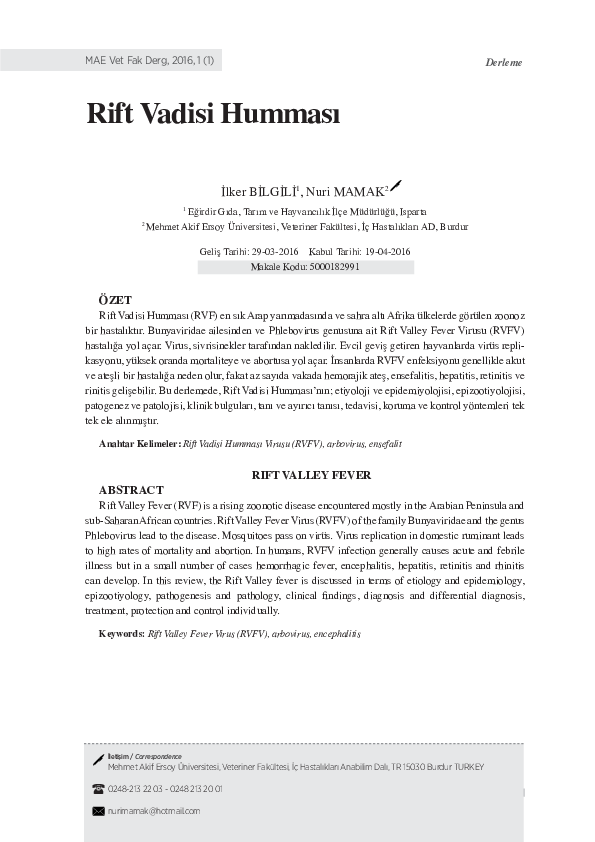 (PDF) Ri̇ft Vadi̇si̇ Hummasi