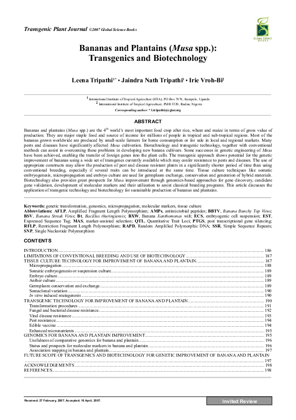 (PDF) Bananas and Plantains (Musa spp.): Transgenics and Biotechnology