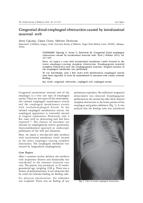 (PDF) Congenital distal esophageal obstruction caused by intraluminal ...