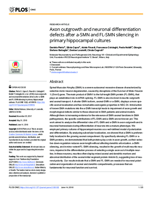 (PDF) Axon outgrowth and neuronal differentiation defects after a-SMN ...