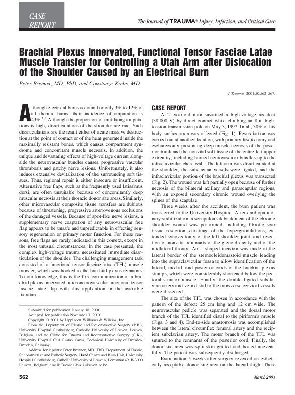 (PDF) Brachial Plexus Innervated, Functional Tensor Fasciae Latae ...