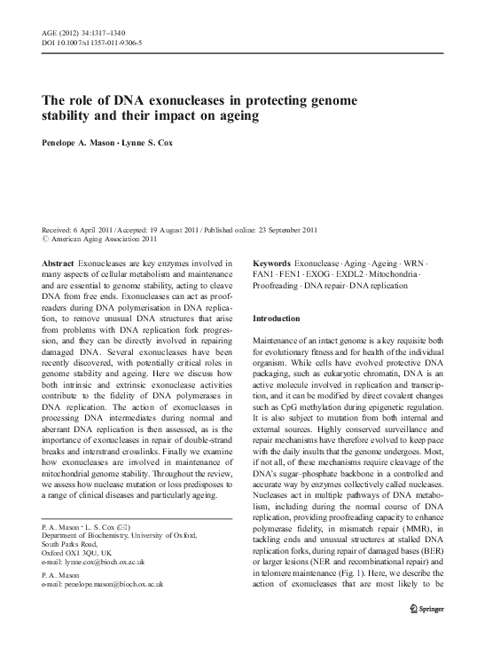 (PDF) The role of DNA exonucleases in protecting genome stability and ...