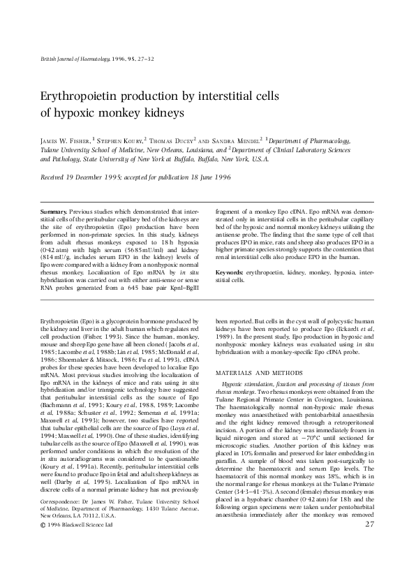 (PDF) Erythropoietin production by interstitial cells of hypoxic monkey ...