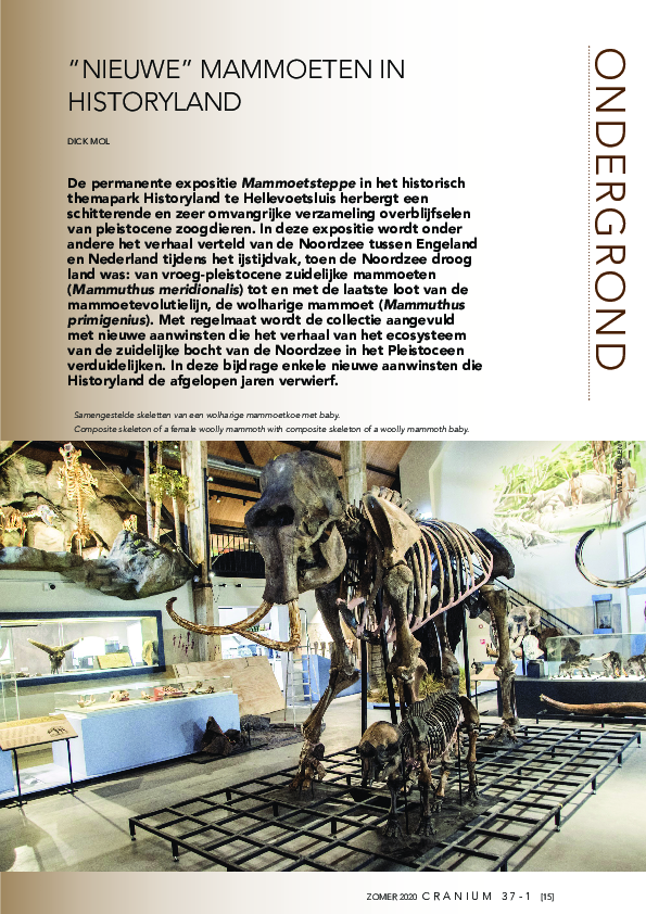 (PDF) Nieuwe" mammoeten in Historyland