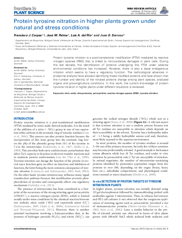 (PDF) Protein tyrosine nitration in higher plants grown under natural ...