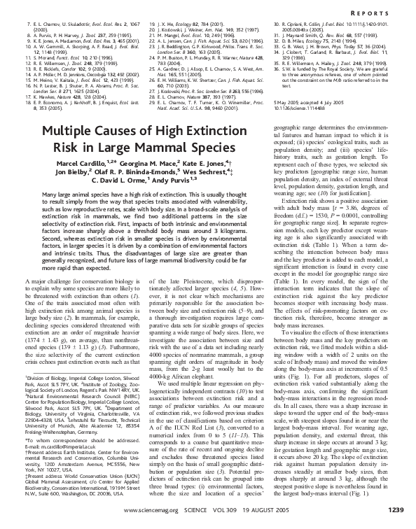 (PDF) Multiple causes of high extinction risk in large mammal species