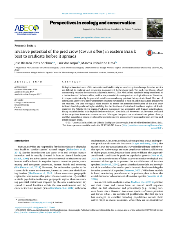 (PDF) Invasive potential of the pied crow (Corvus albus) in eastern ...