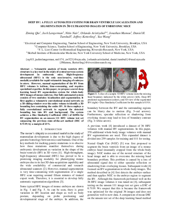 Pdf Automated Deep Learning System For Mouse Brain Ventricle Segmentation
