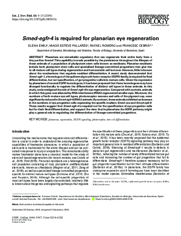 (PDF) Smed-egfr-4 is required for planarian eye regeneration | Francesc ...