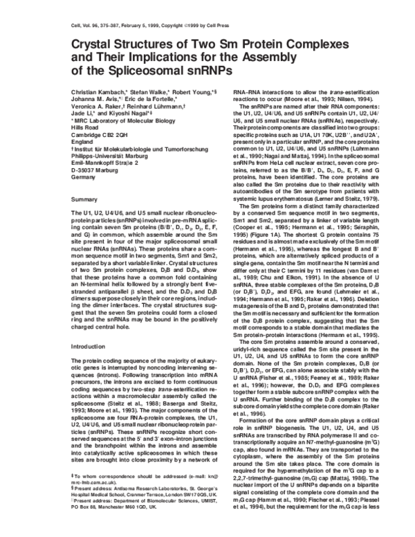 (PDF) Crystal Structures of Two Sm Protein Complexes and Their ...
