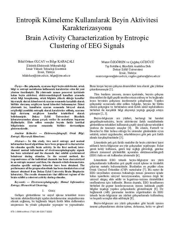 (PDF) Brain activity characterization by entropic clustering of EEG signals