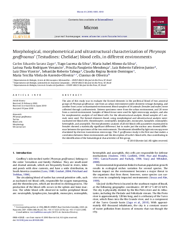 (PDF) Morphological, morphometrical and ultrastructural ...