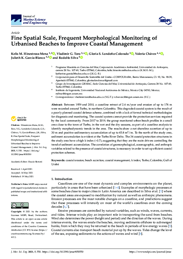 (PDF) Fine Spatial Scale, Frequent Morphological Monitoring of Urbanised Beaches to Improve ...