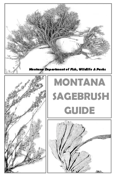 (PDF) Montana Sagebrush Guide