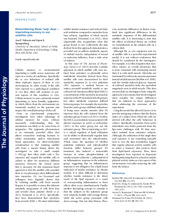 (PDF) Remembering those 'lazy' days - imprinting memory in our ...