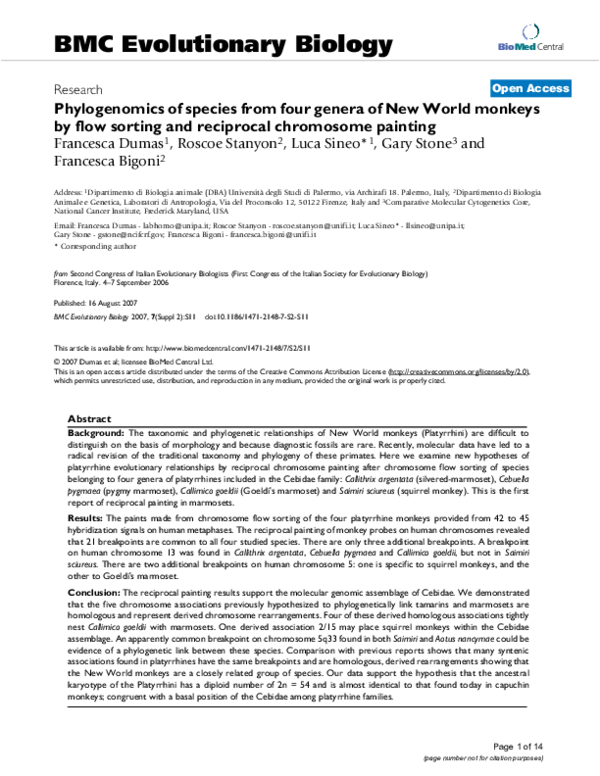 (PDF) Phylogenetics of New World Monkeys via Chromosomes