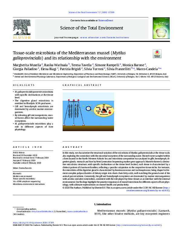 (PDF) Tissue-scale microbiota of the Mediterranean mussel (Mytilus ...